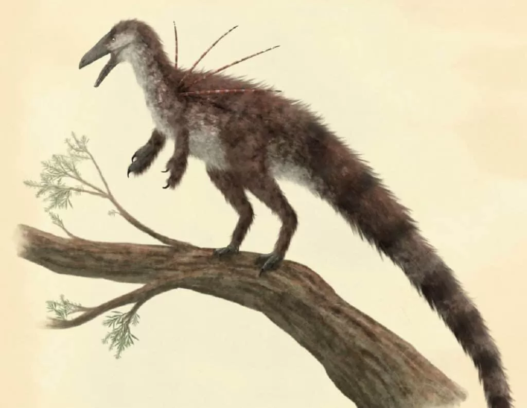 Fóssil do dinossauro Ubirajara jubatus retorna ao Ceará após 28 anos ...